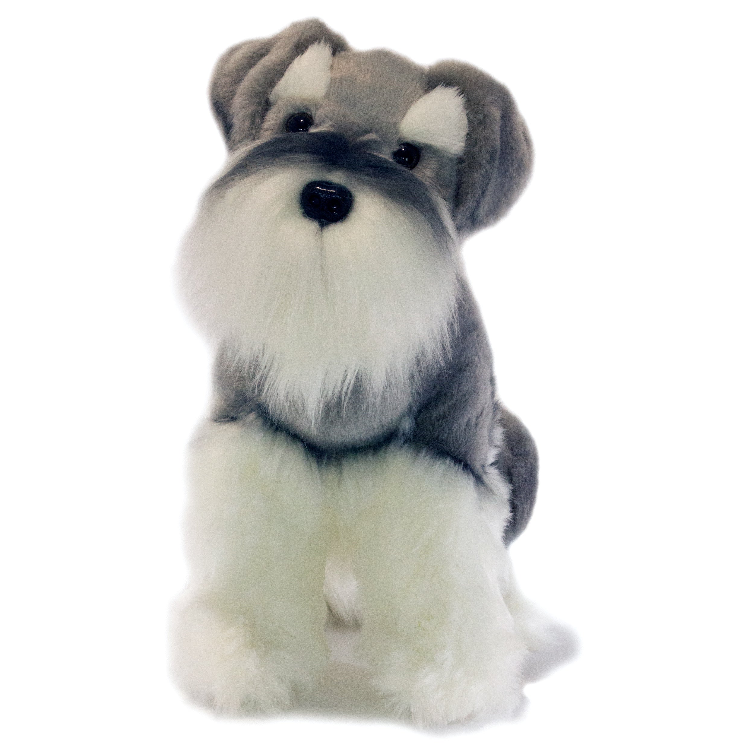 Dog, Puppy Plush soft toys – The Teddy Bear Shop Hobart