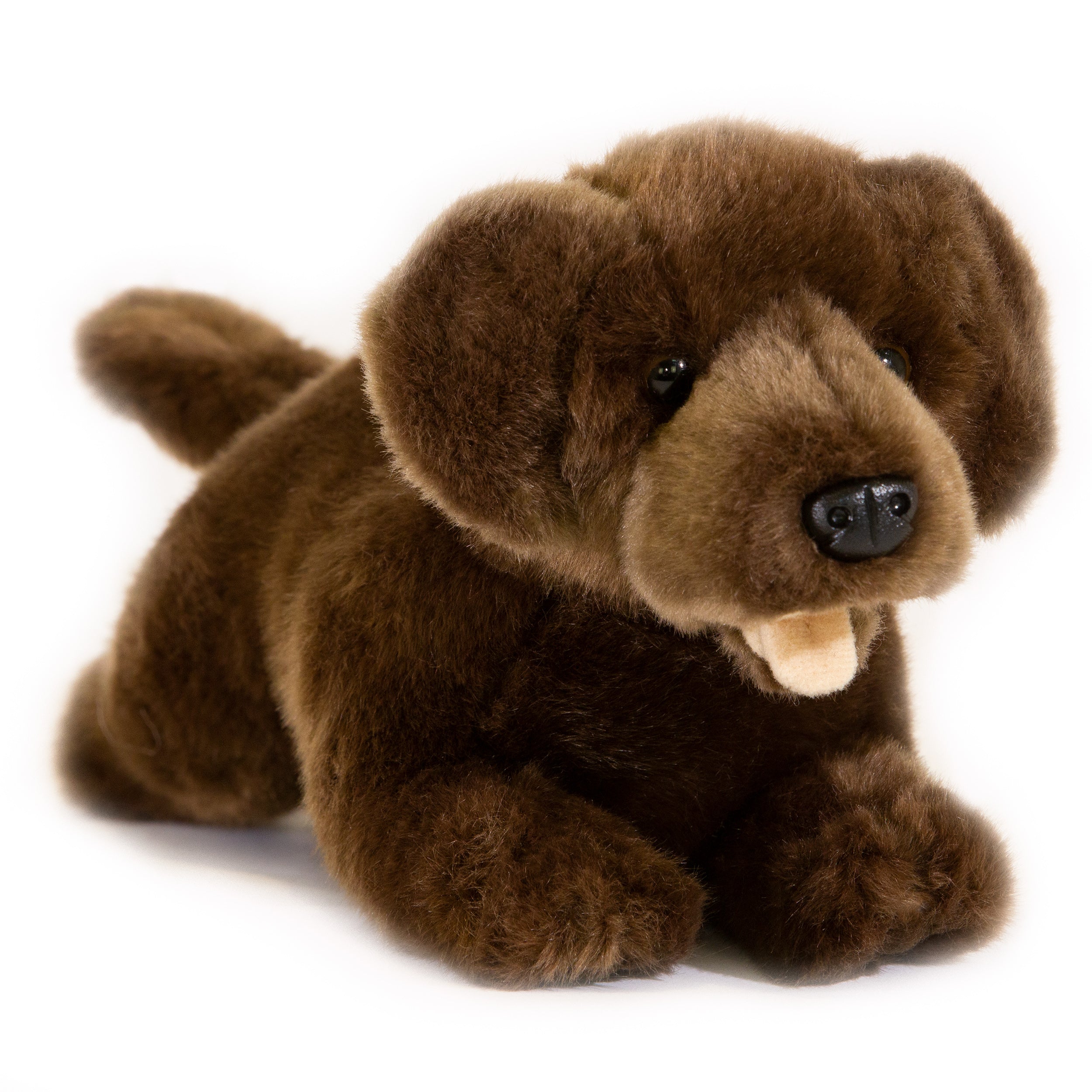Chocolate Labrador plush soft toy dog – The Teddy Bear Shop Hobart