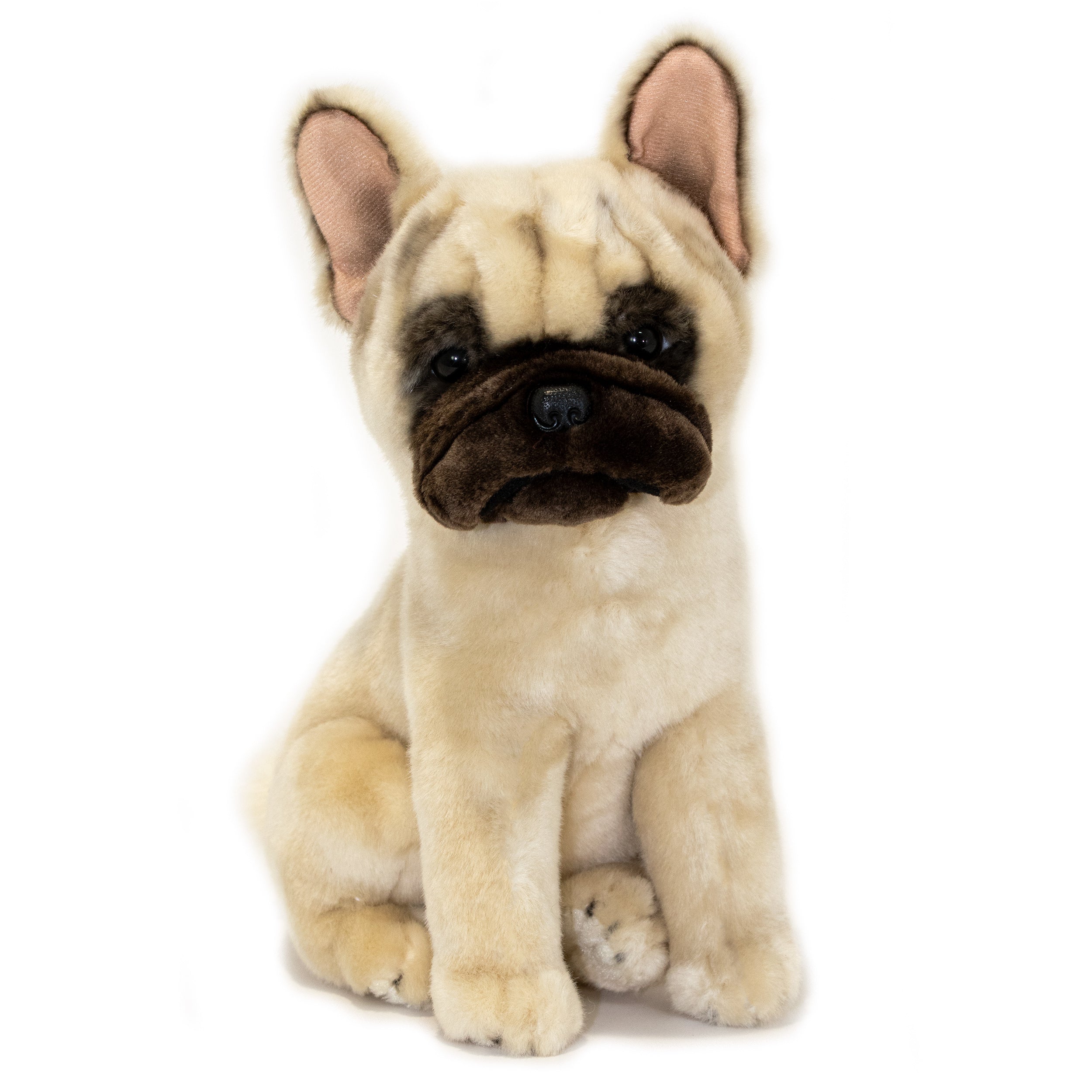 French Bulldog plush soft toy dog – The Teddy Bear Shop Hobart