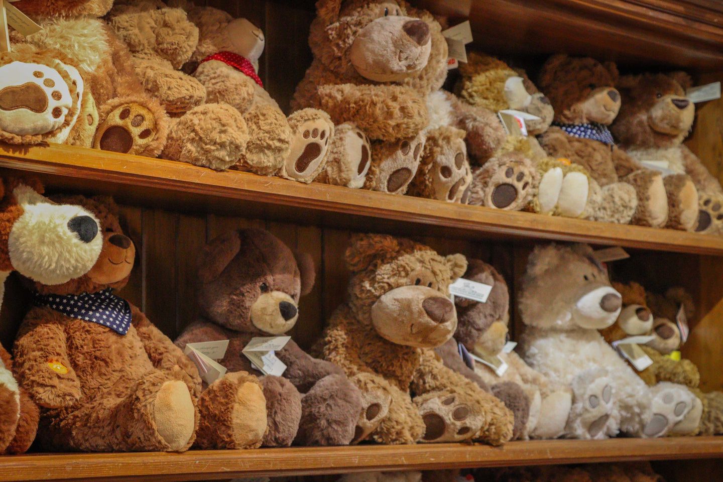 Snoopy – The Teddy Bear Shop Hobart